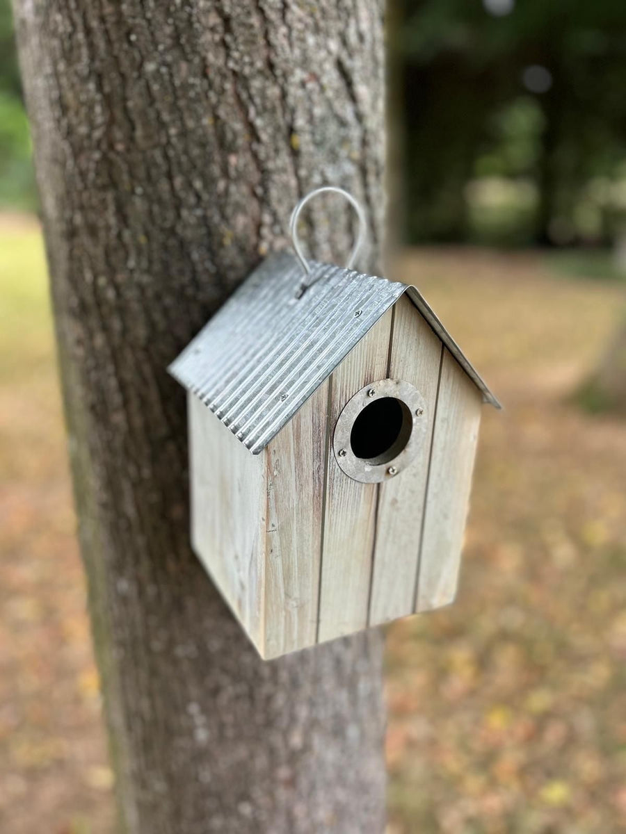 Wooden Bird House Garden Wood Tree Wall Mount Birds Nesting Box With T ...